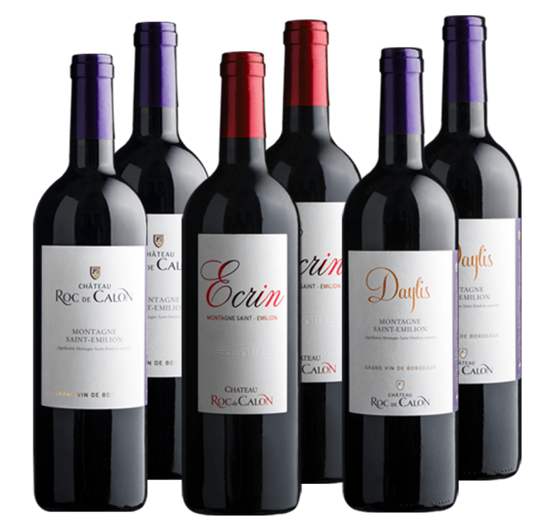 The Discovery Box - Château Roc de Calon